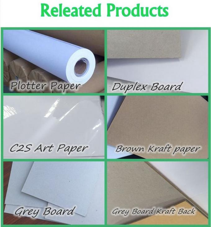 Uncoated Wood Free Offset Printing Paper 70gsm 80gsm 70 * 100cm In ...