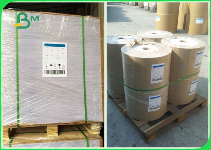 70gsm 80gsm White Offset Printing Paper Jumbo Roll 700mm width