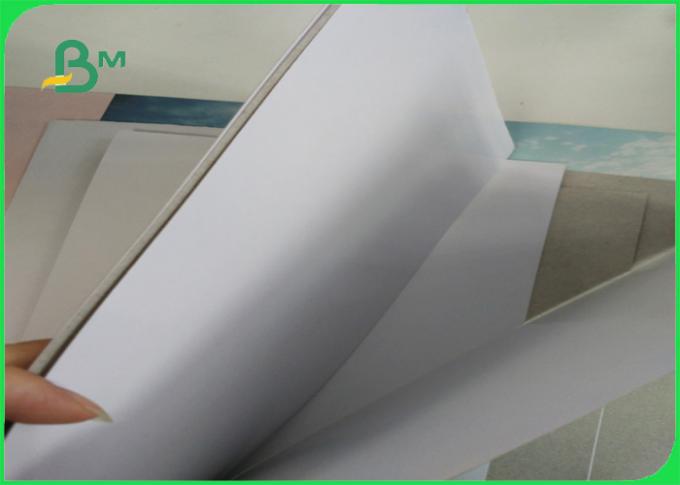 Single Side Clay Coated Paperboard With Grey Back 230gsm 250gsm 350gsm