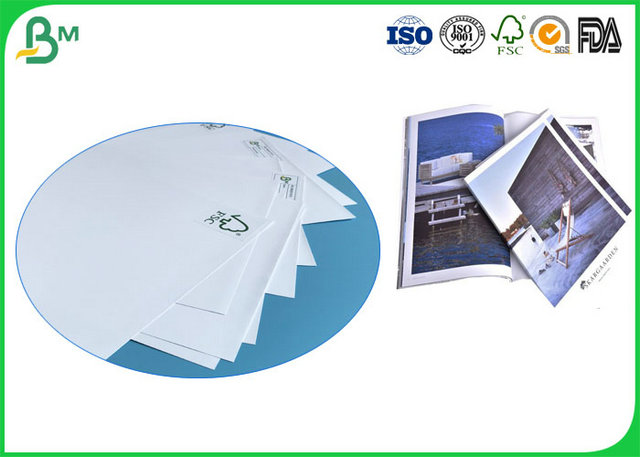 FSC Certificated 100g 105g 115g 128g 157g 180g Double Sides Coated Art ...