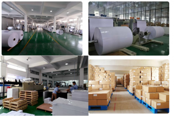 157G 200G 250G Virgin Material Couche Paper For Printing Brochure