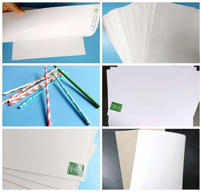 210 - 365 GSM One Side Coated Glossy FFB Board With Wood Pulp For Printing