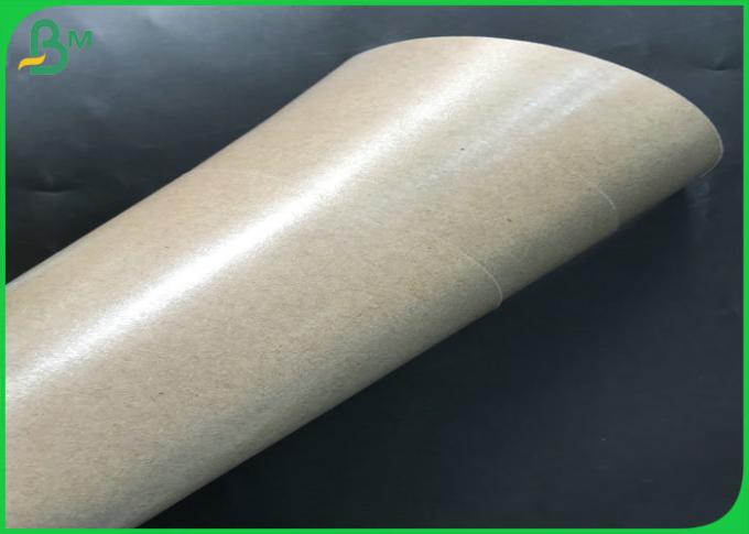 160gsm + 10gsm PE Coated Paper , 610mm 860mm One Side Glossy Coated ...