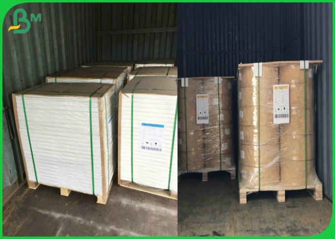 High Density 250g +10g One Side PE Coated Kraft Paper In Reel