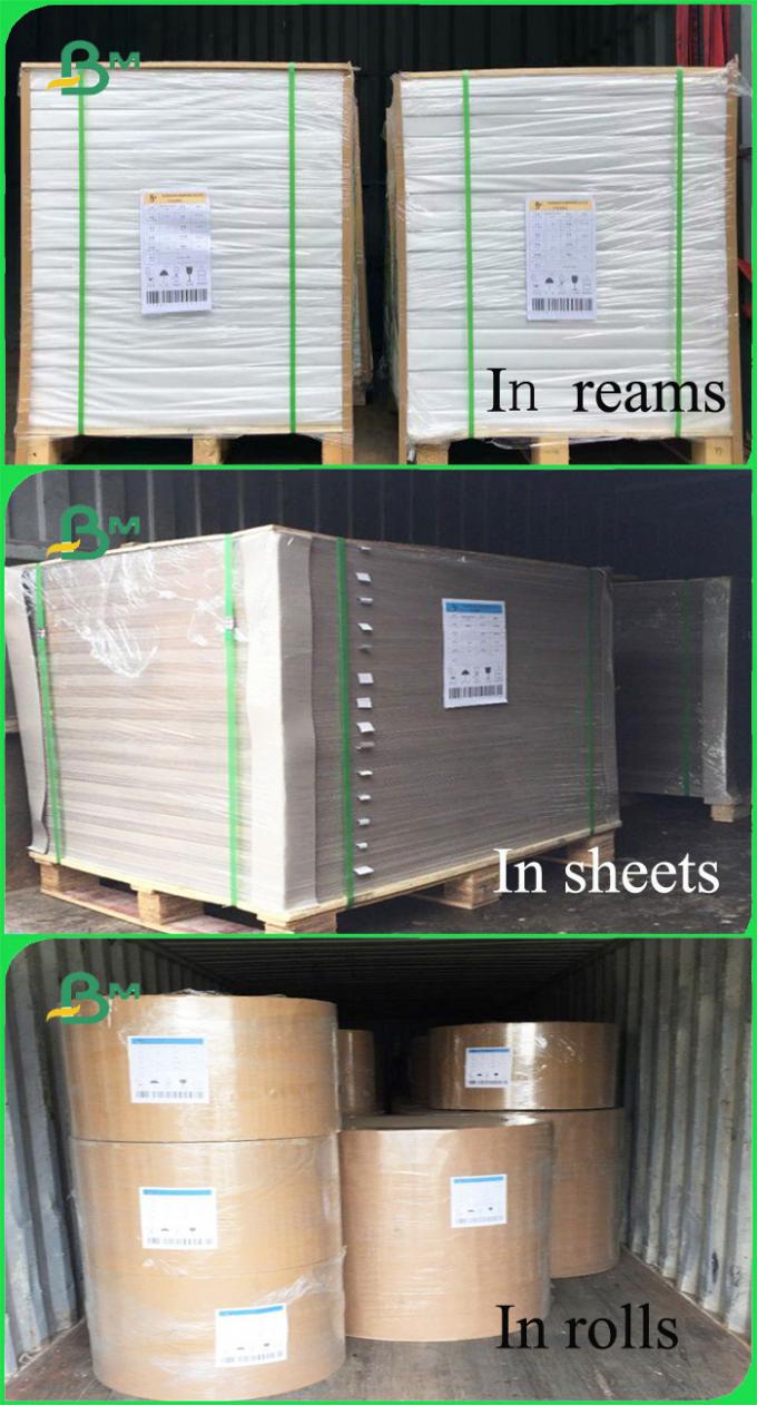 SRA2 70gsm 80gsm 100gsm Uncoated WF Paper Offset Paper For School Text Book