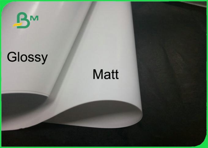 Professional Matte Or Glossy Couche Paper Printing Children Book ...