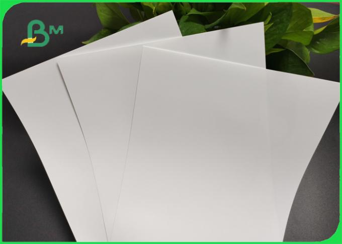 Seamless 240gsm 260gsm White Photography Paper For Advertisement ...