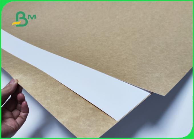 Food Grade 250gr CKB Kraft Board For Pharmaceutical Package 60 X 86 cm