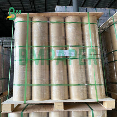 36'' 48'' 60'' Wide Strong Surface Plotter Paper for Fruit Packaging