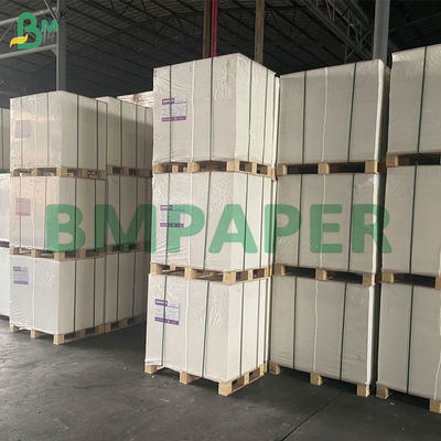 50 GSM Odor Free Heat Resistance Coffee Filter Paper Sheets