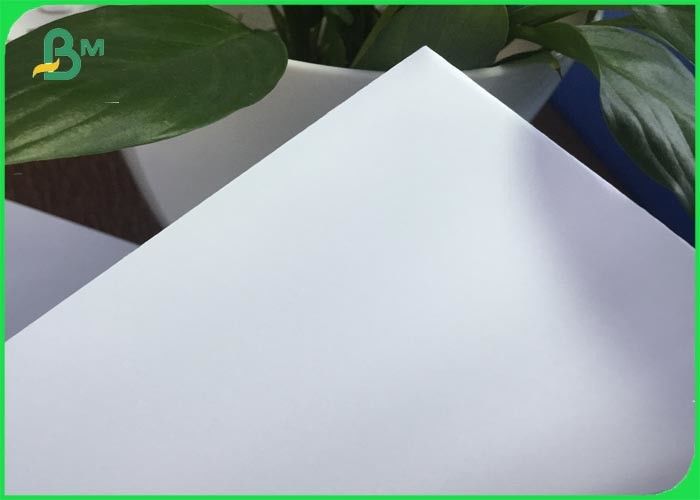 50g 60g 70g 80g Offset Printing Paper , A4 Size White Paper Roll For ...