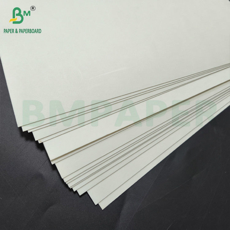 White Food Grade Paper Roll 100% Virgin Pulp PE Coated for Bowl Base Paper