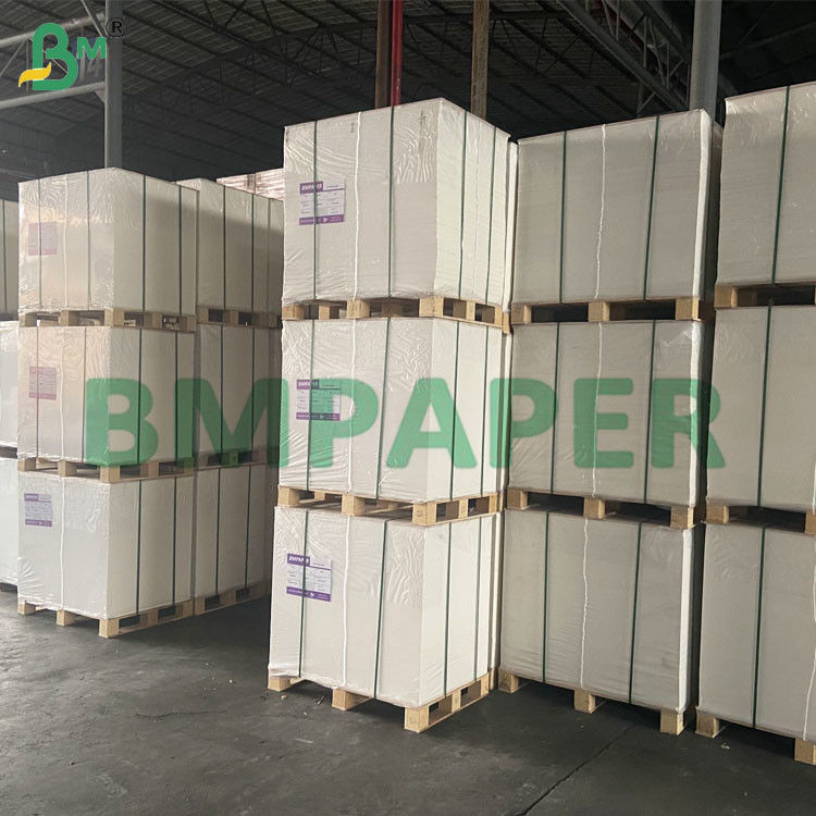 50 GSM Odor Free Heat Resistance Coffee Filter Paper Sheets