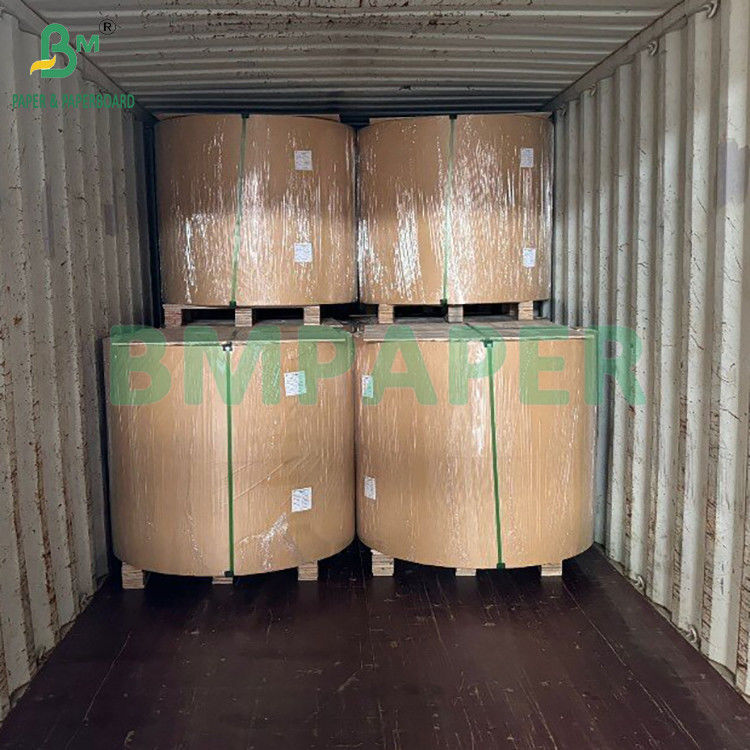 50gsm Food Grade Bleached and unbleached Coffee Filter Paper Roll