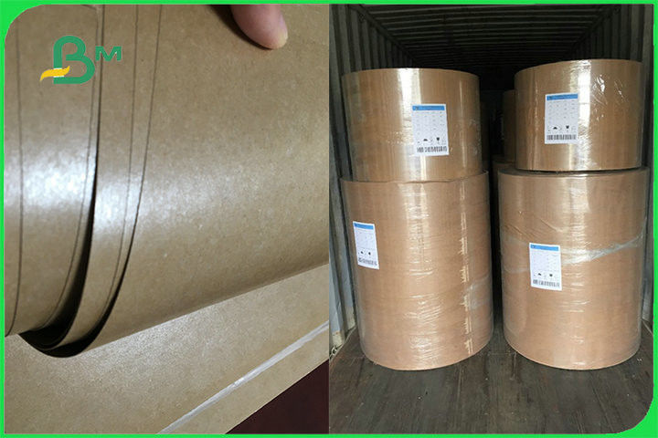 300gsm 350gsm PE Coated Paper Sheet Single or Double Side for Plate