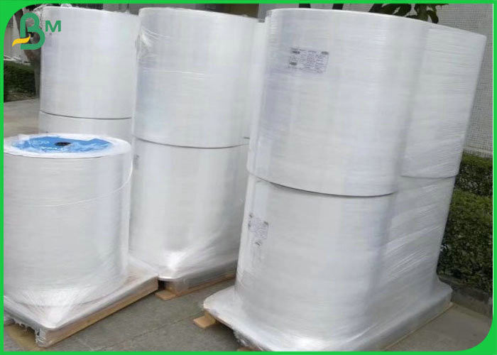 Colorful Tyvek Fabric Paper Rolls 1056D 1443R Biodegradable Waterproof ...