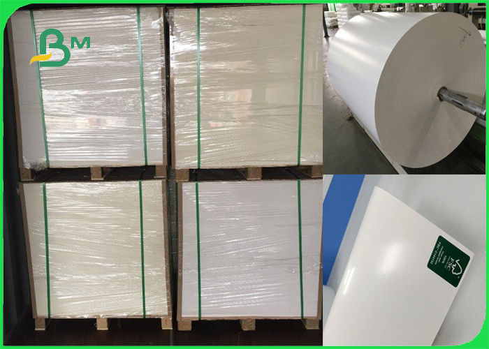 Width 708mm 300gsm + 15g PE CIS Ivory Board Poly Coated Paper For Lunch Box