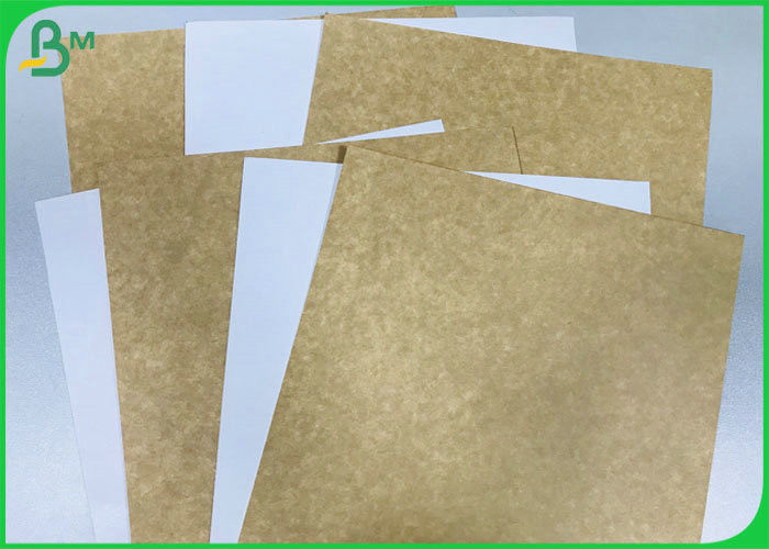 250 Gsm 365 Gsm Foodgrade White Top Coated Kraft Liner Paperboard For ...