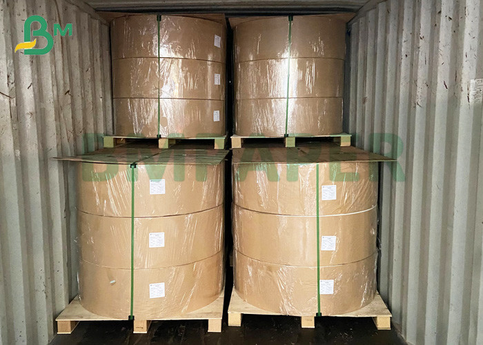 White Ivory Cardboard Paper Roll 300gsm C1S SBS Paperboard Coated Ivory ...