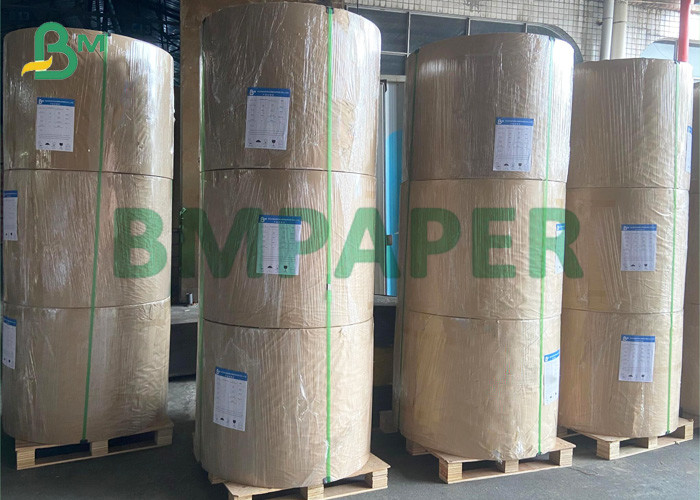 200g PE Coated Brown Oil Proof Food Grade Packing Kraft Paper In Roll