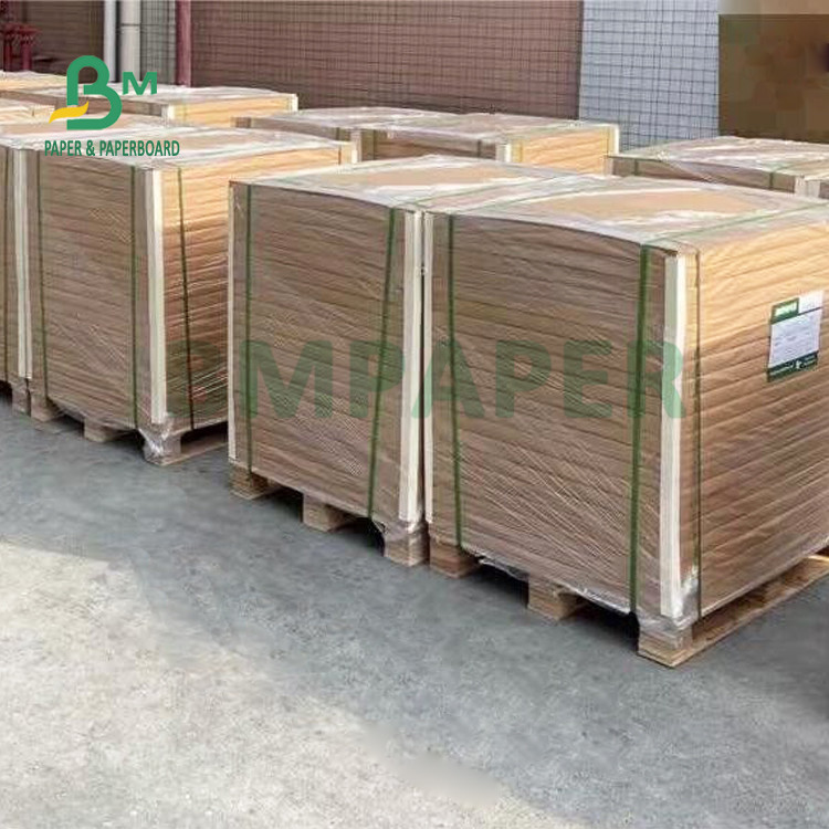 200gsm Inkjet Printing Digital Coated Glossy Paper For Illustrations 65 ...