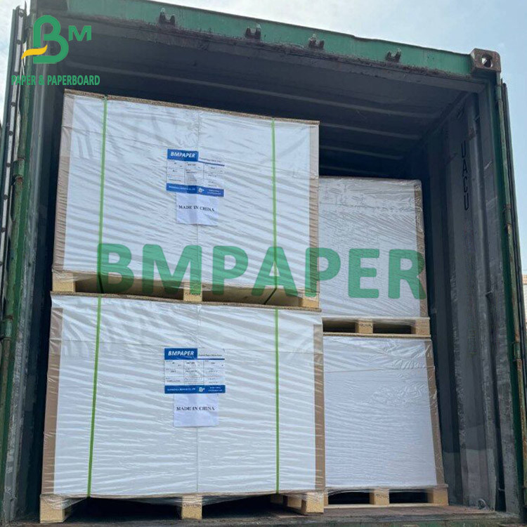 C2S Paper 2 Sides Gloss Coated Art Paper Large Sheet 10PT 12PT 14PT ...