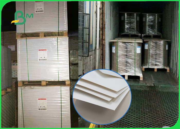 300 350 400GSM White SBS Board Folding Box Board for Food Packaging