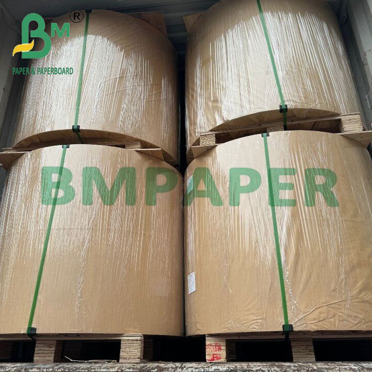 90gr Virgin Pulp Biodegradable Gift Wrapping Craft Bag Paper Roll